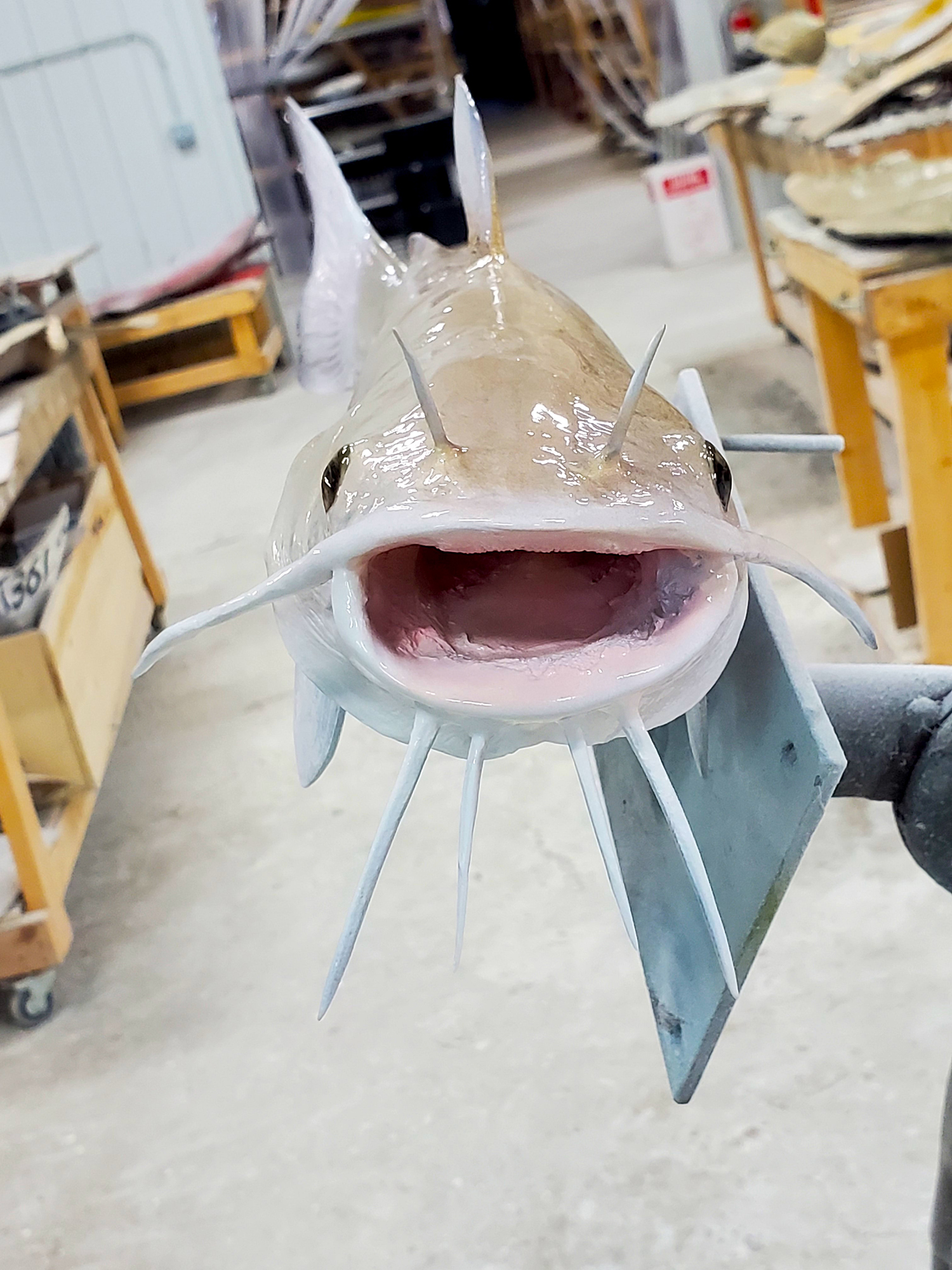 White Bullhead - Rinehart Taxidermy